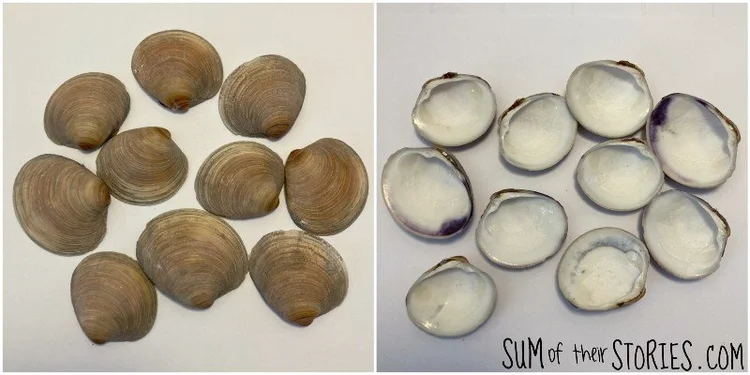 2 easy ways to decorate plain shells — Sum of their Stories Craft Blog