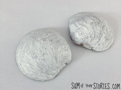 2 easy ways to decorate plain shells — Sum of their Stories Craft Blog