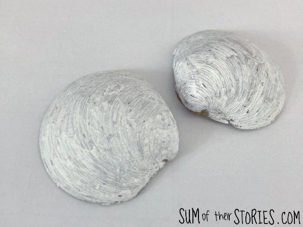 2 easy ways to decorate plain shells — Sum of their Stories Craft Blog