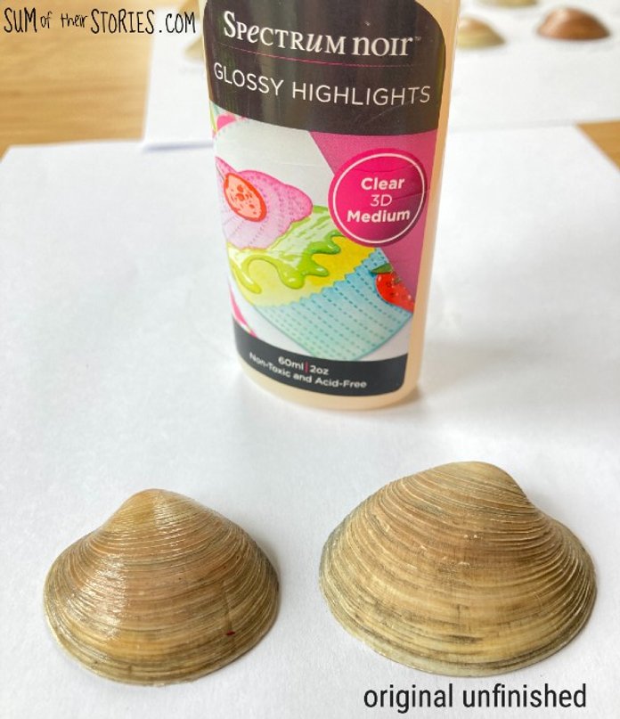 10 ways to seal shells for display around the home — Sum of their ...