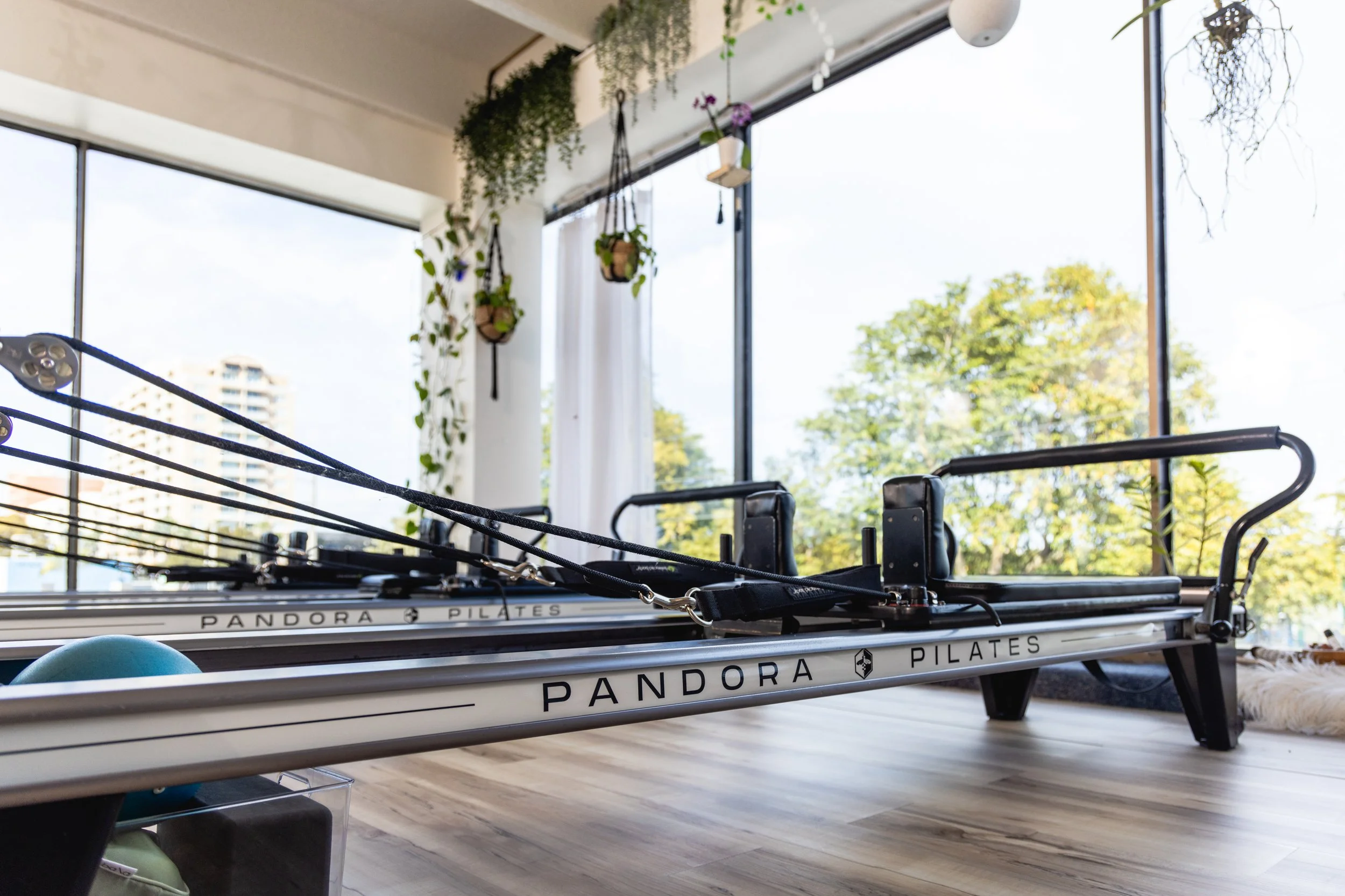 Pandora Pilates and Physical Therapy