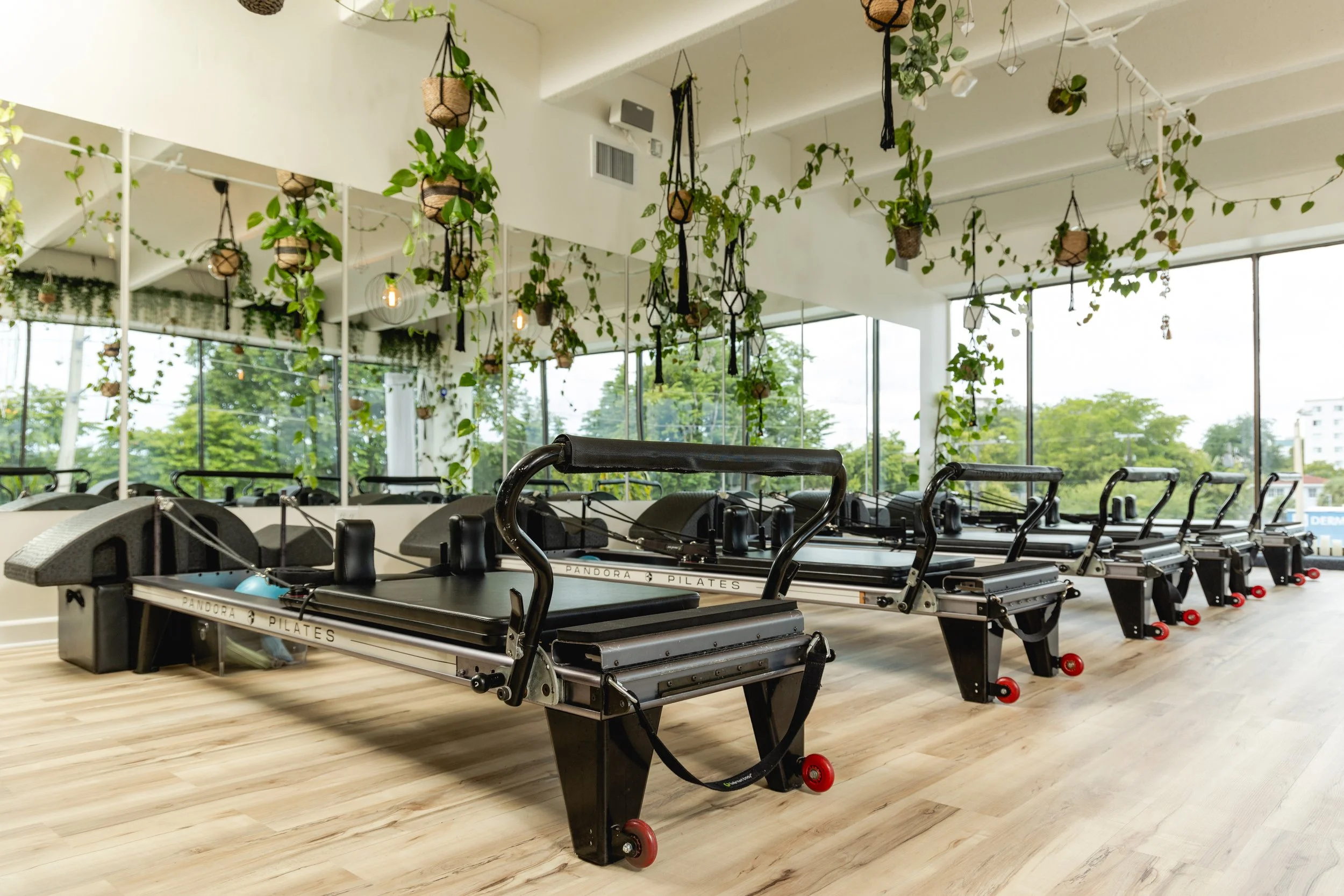 Pilates Rehab — Pandora Pilates and Physical Therapy