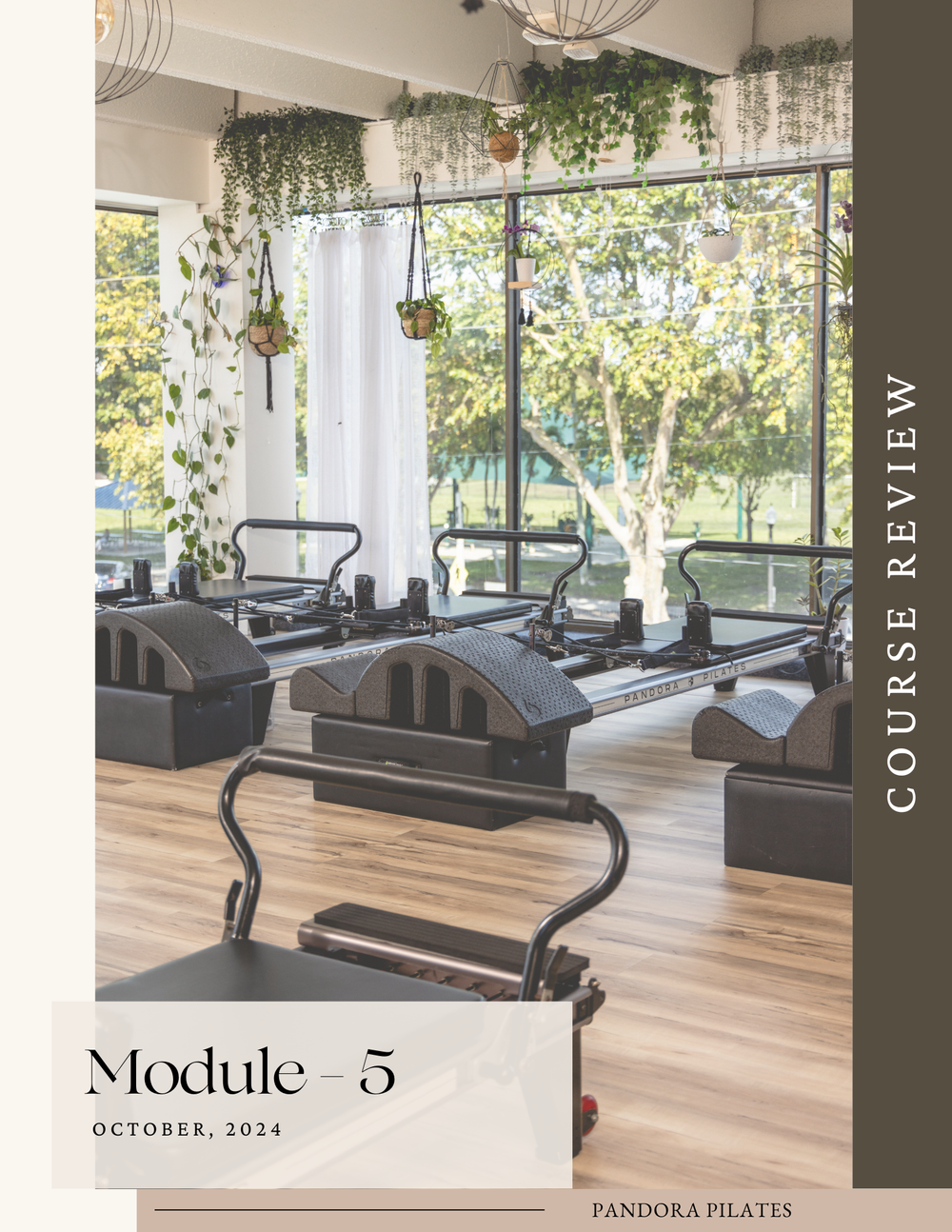 Pilates Teacher Training - Miami — Pandora Pilates and Physical Therapy