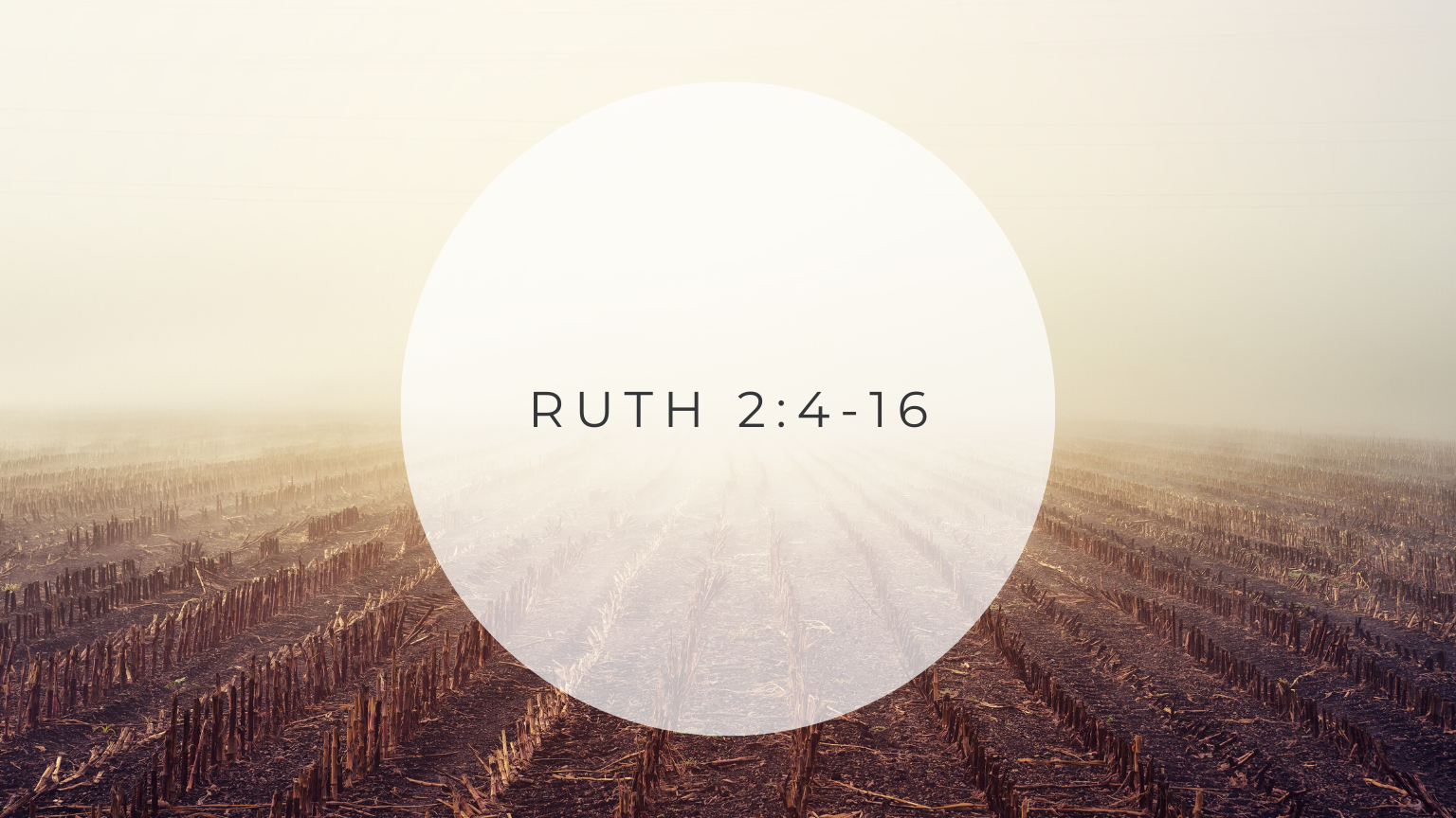 Day 13: Let Me Be Like Some Men Of Old (Ruth 2:4-16) — David J. Collum