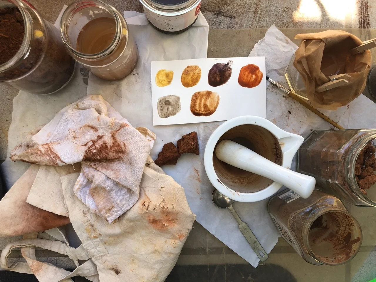 JYOTSNA PIPPAL lost in colours — WILD PIGMENT PROJECT