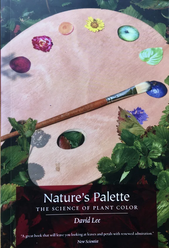 library — WILD PIGMENT PROJECT