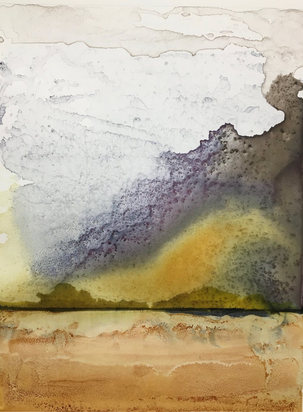 MARJORIE MORGAN printmaking inks — WILD PIGMENT PROJECT