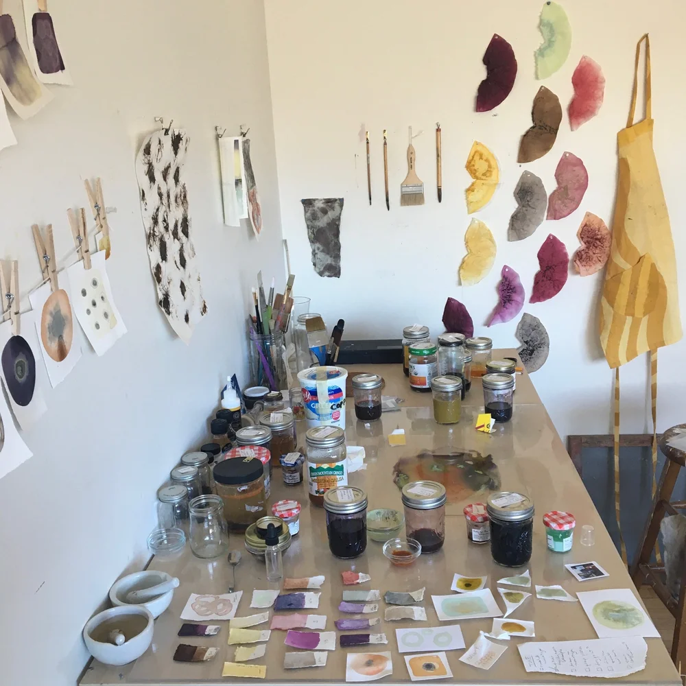 MARJORIE MORGAN printmaking inks — WILD PIGMENT PROJECT