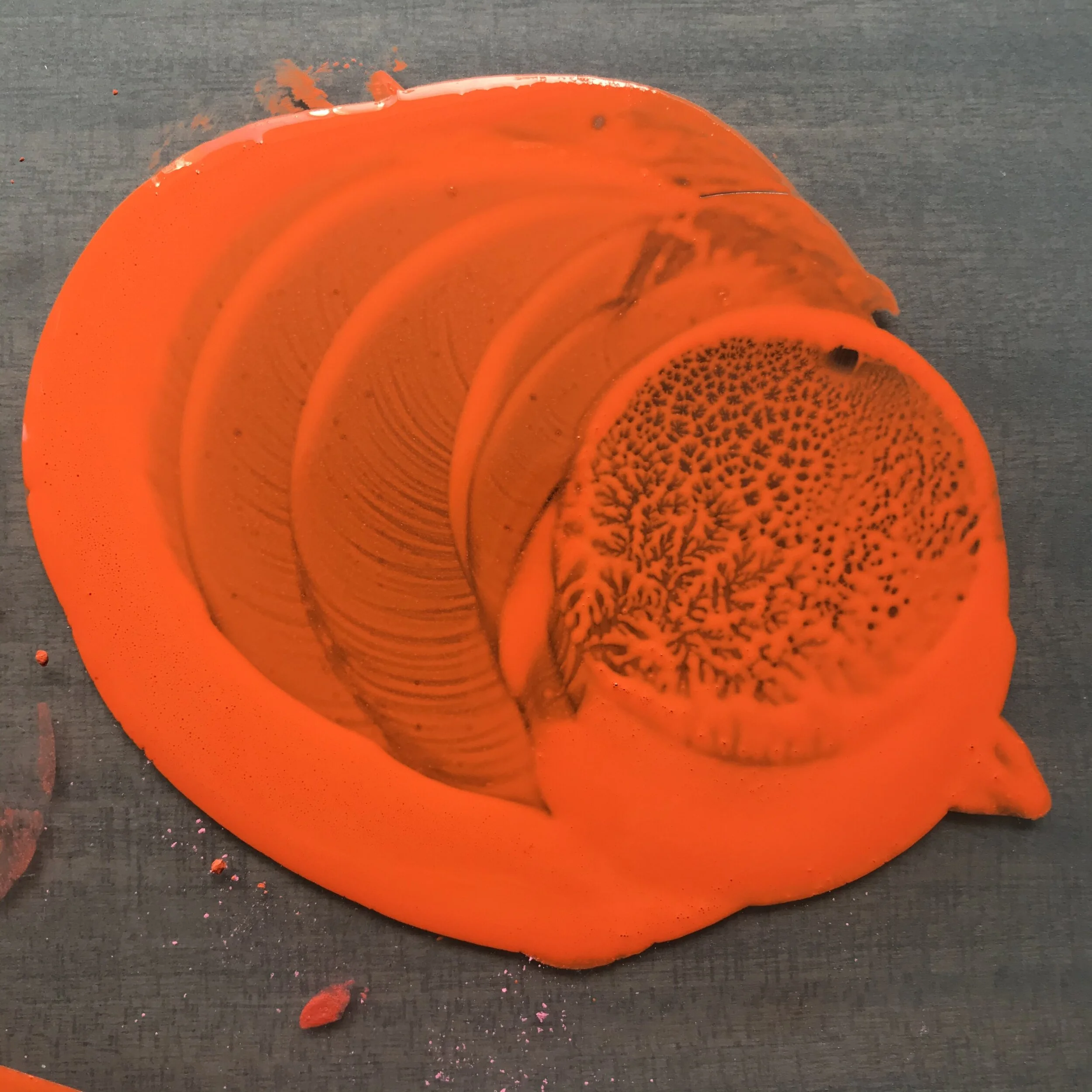 RUTH SIDDALL geologist & pigment scientist — WILD PIGMENT PROJECT