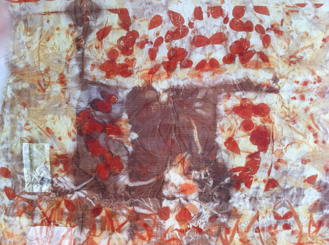 INDIA FLINT botanical alchemist — WILD PIGMENT PROJECT
