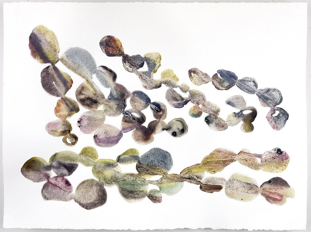 DANIELA NAOMI MOLNAR pigment poet — WILD PIGMENT PROJECT