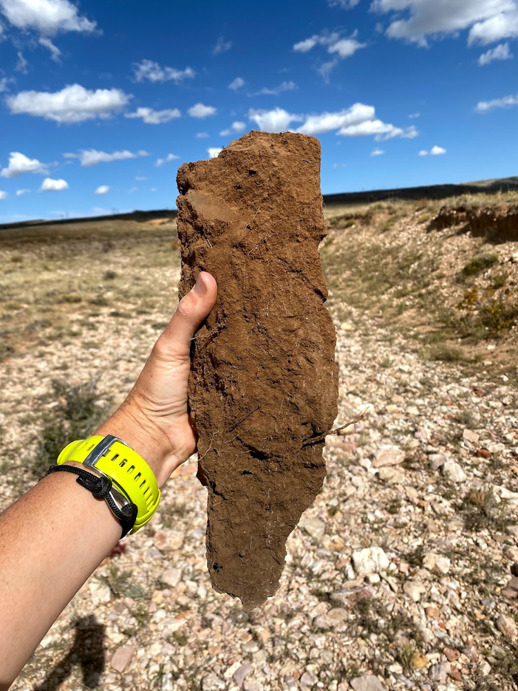 KAREN VAUGHAN the art of soil — WILD PIGMENT PROJECT