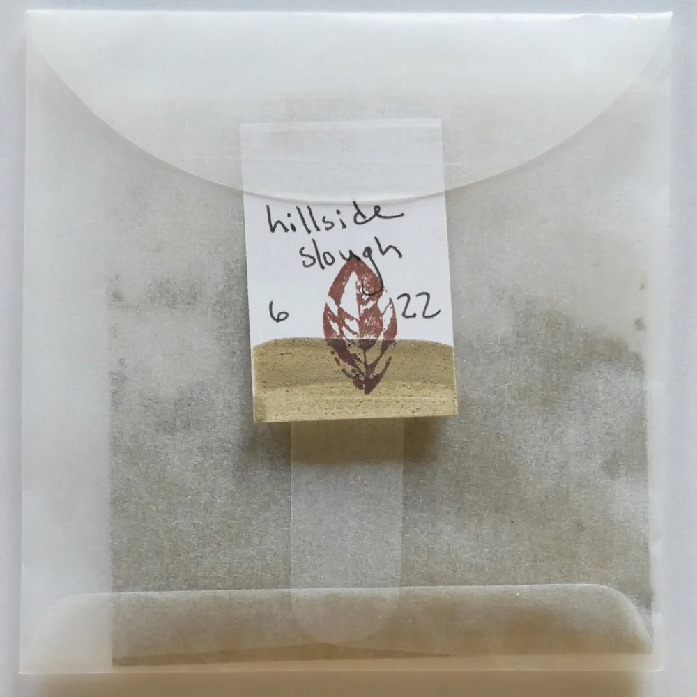 06 . 22 — WILD PIGMENT PROJECT