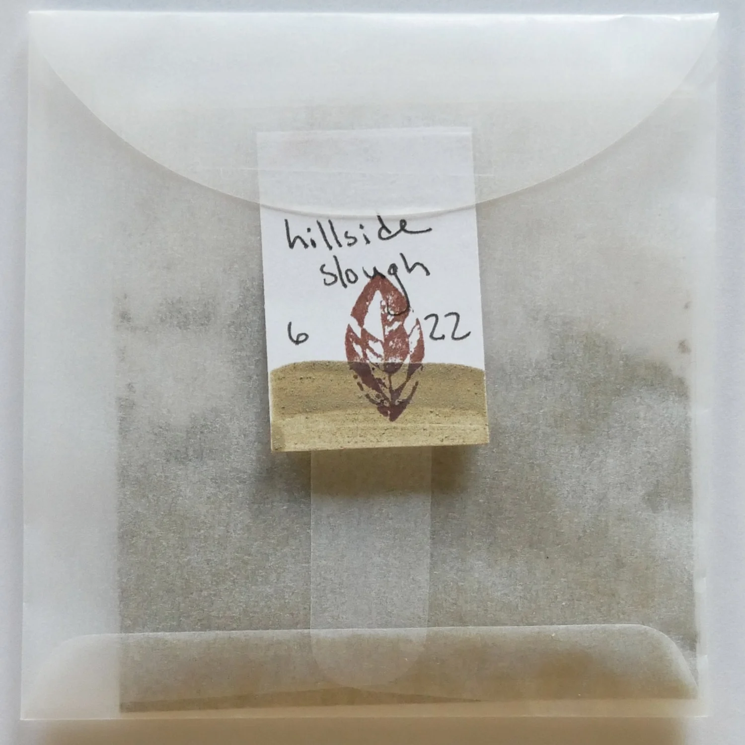 06 . 22 — WILD PIGMENT PROJECT