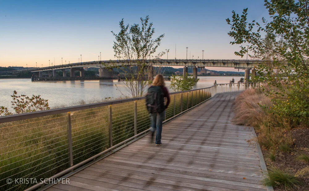 Enjoy the Anacostia