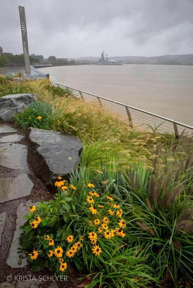 Value It — Enjoy the Anacostia