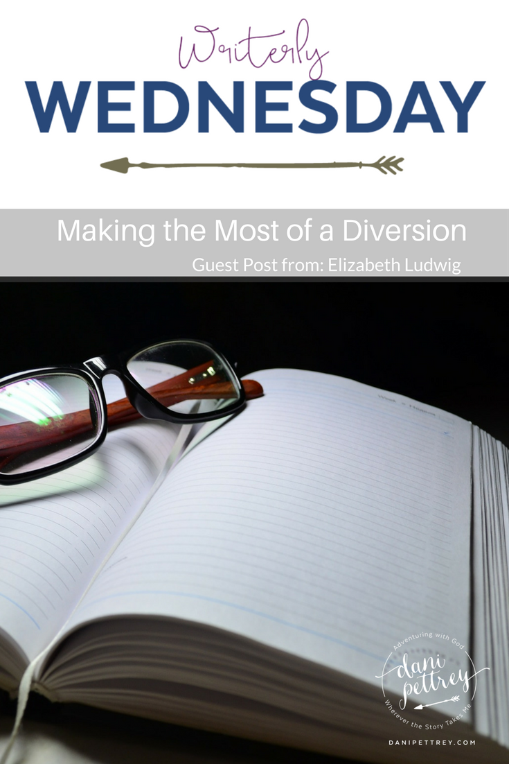 Making the Most of a Diversion - Dani Pettrey