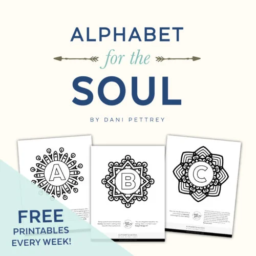 Alphabet for the Soul-U is for Unknown - Dani Pettrey