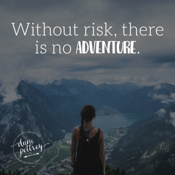 Alphabet for the Soul-R is for Risk - Dani Pettrey