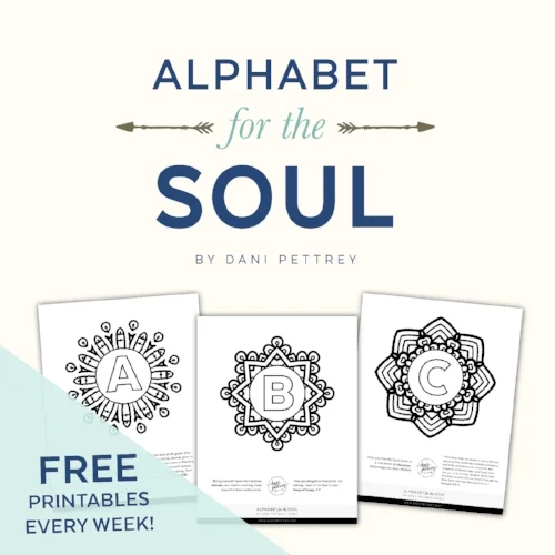 Alphabet for the Soul-W is for Waiting - Dani Pettrey