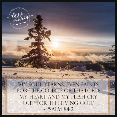 Alphabet for the Soul-Y is for Yearn - Dani Pettrey