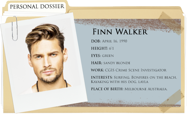 Meet Finn & Gabby - Dani Pettrey