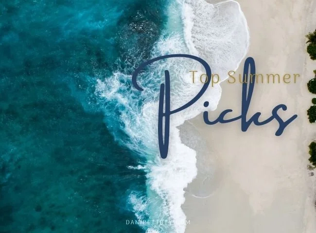 Top Summer Picks - Dani Pettrey