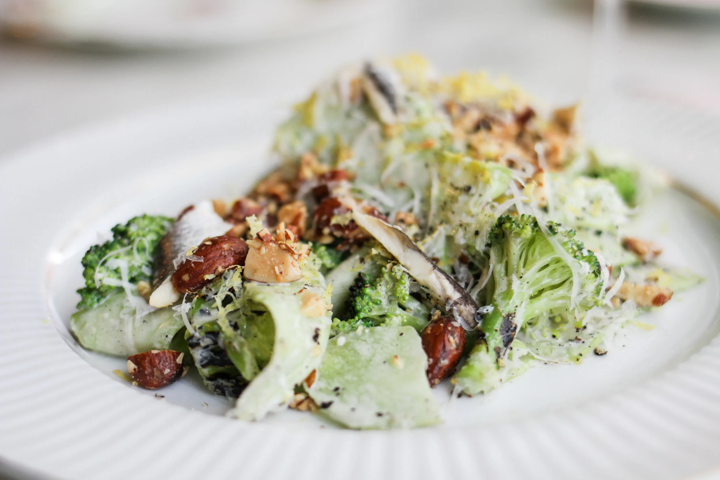 Gallery — Scofflaw