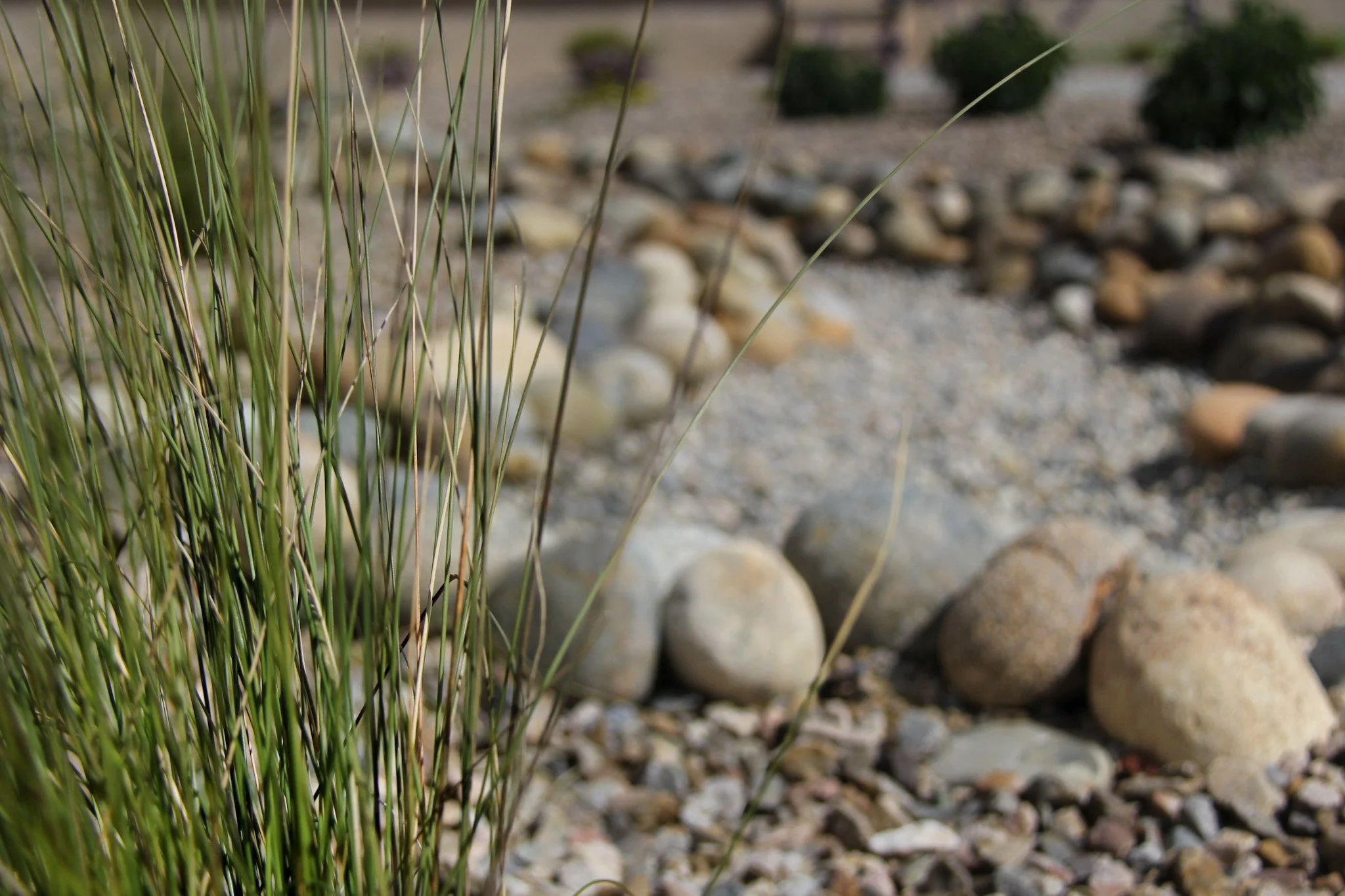 Dream Home Landscaping