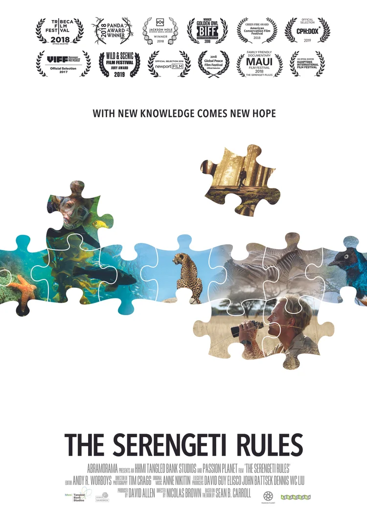 The Serengeti Rules — ABRAMORAMA