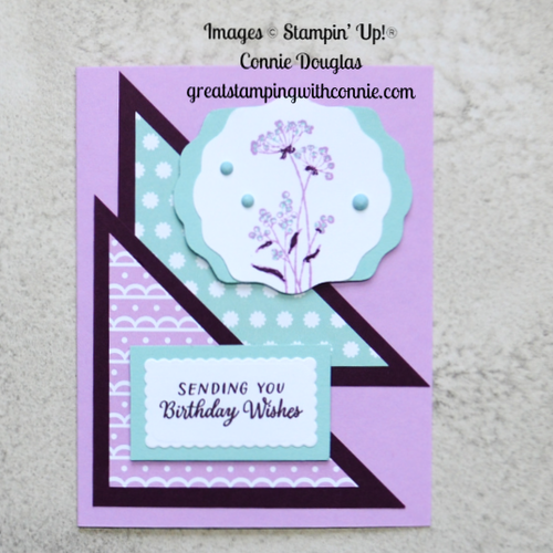 Connie's Craft Along - One Sheet Wonder — Great Stamping with Connie