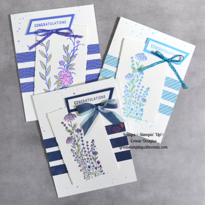 Connie's Craft Along — Great Stamping with Connie