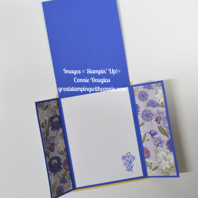 Connie's Craft Along - A Fun Fold — Great Stamping with Connie