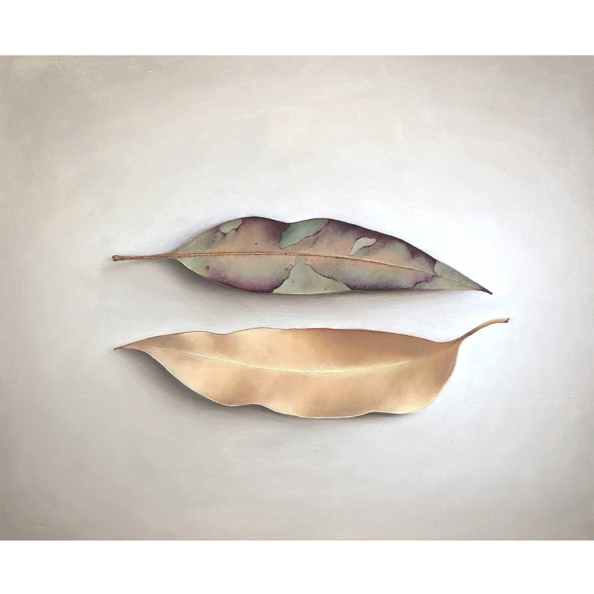 Paintings — SARAH WHITE