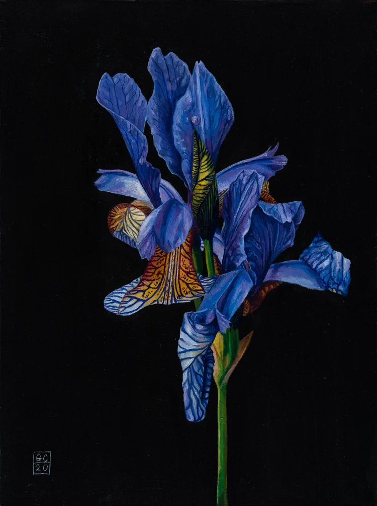 2020 — Georgia Cox