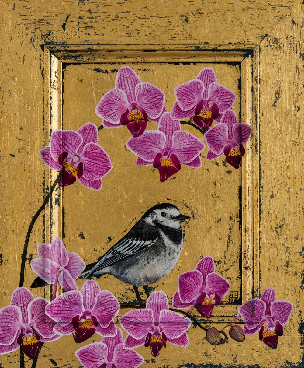 2018 — Georgia Cox