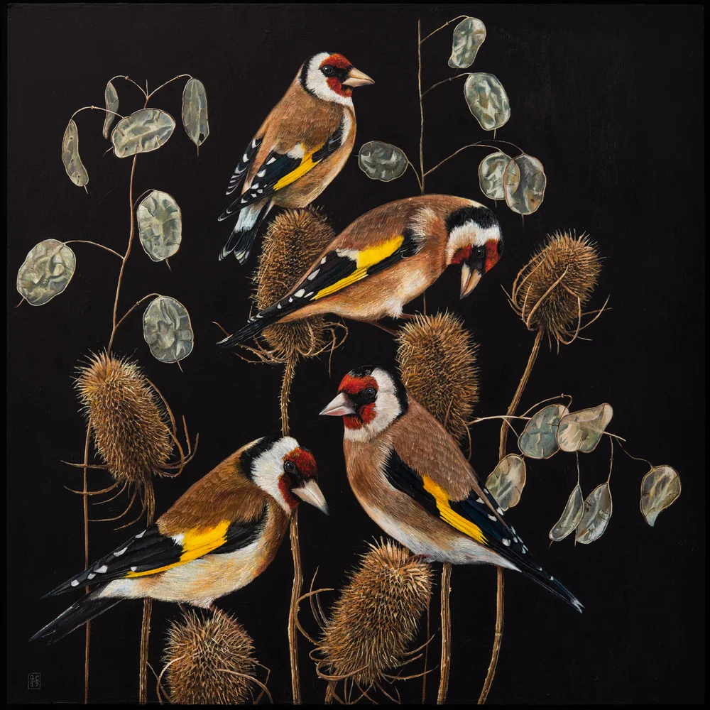 2019 — Georgia Cox