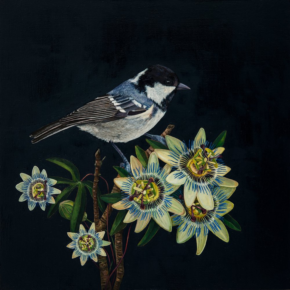 2019 — Georgia Cox