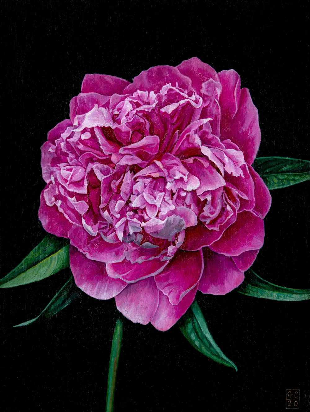 2020 — Georgia Cox