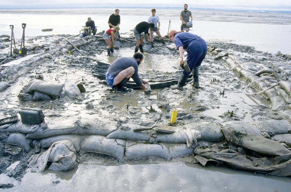 The intertidal zone — Living Levels