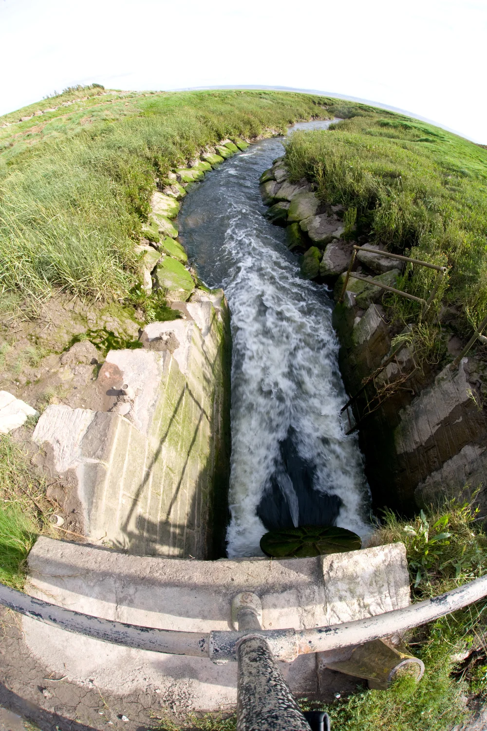 Different Levels — Living Levels