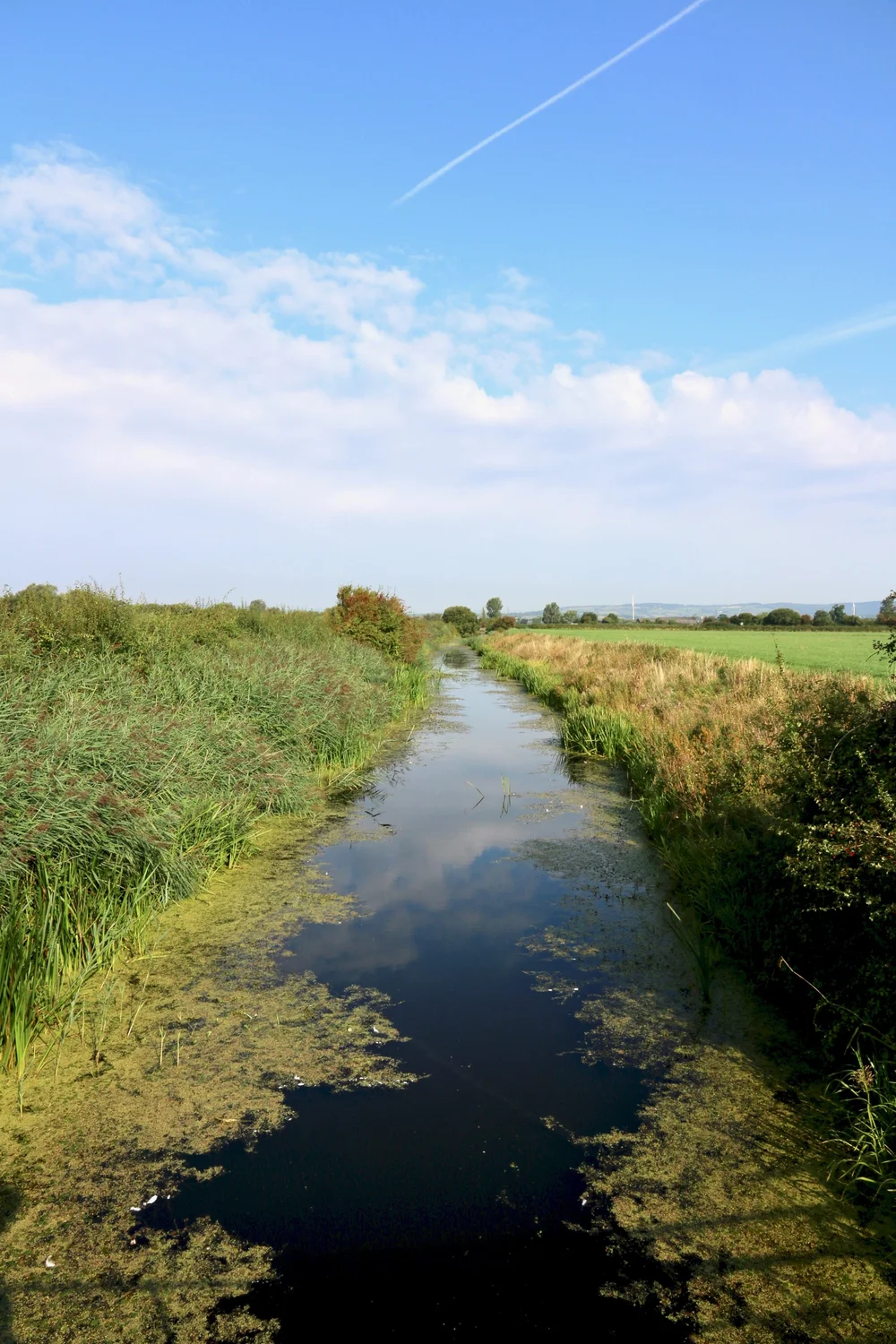 The Historic Drainage System — Living Levels