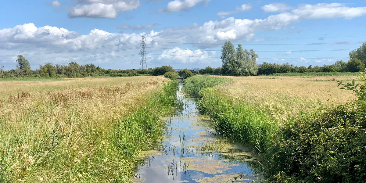 Reens, ditches and grips — Living Levels