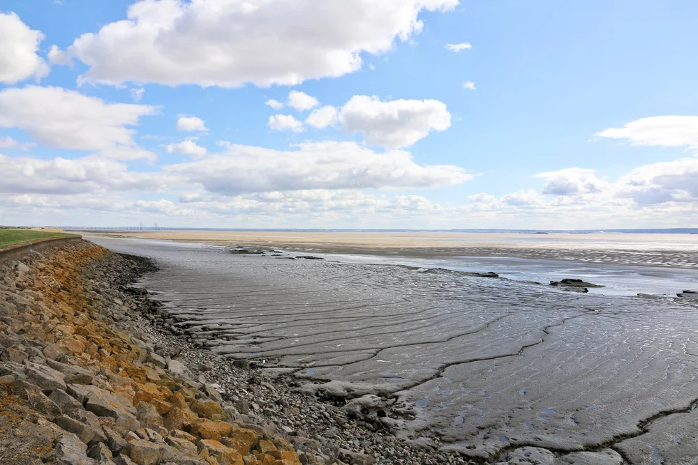 The intertidal zone — Living Levels