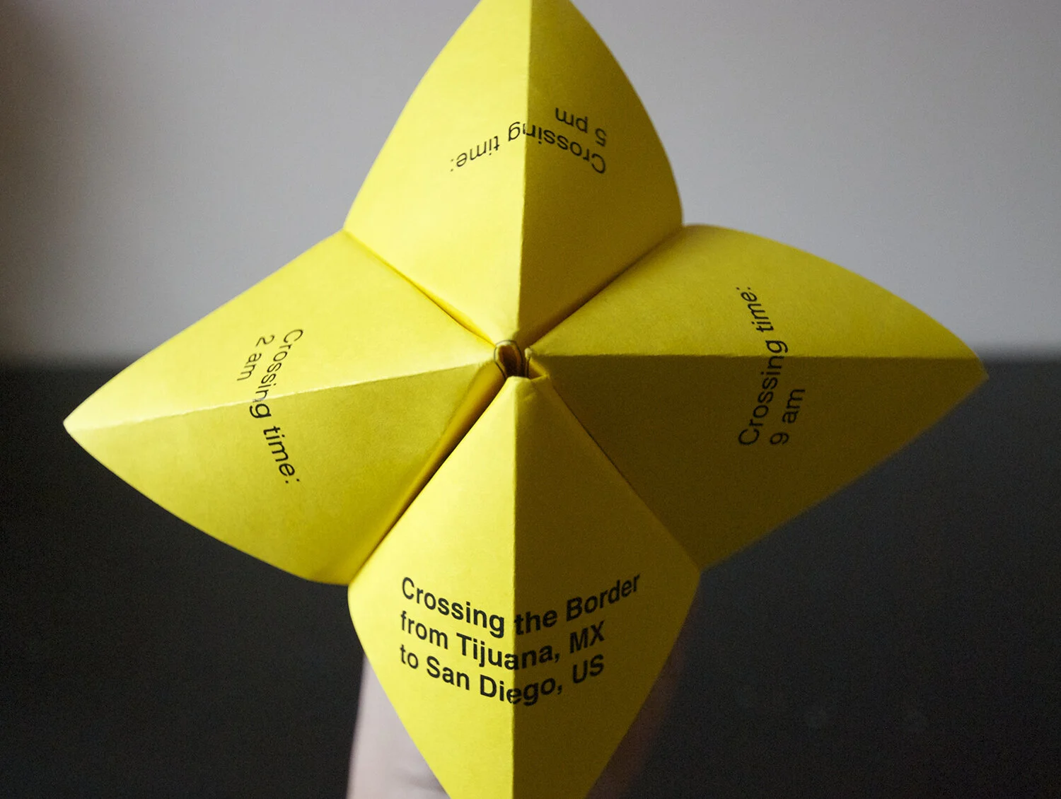 Isabella Cruz's Instagram, Twitter & Facebook on IDCrawl