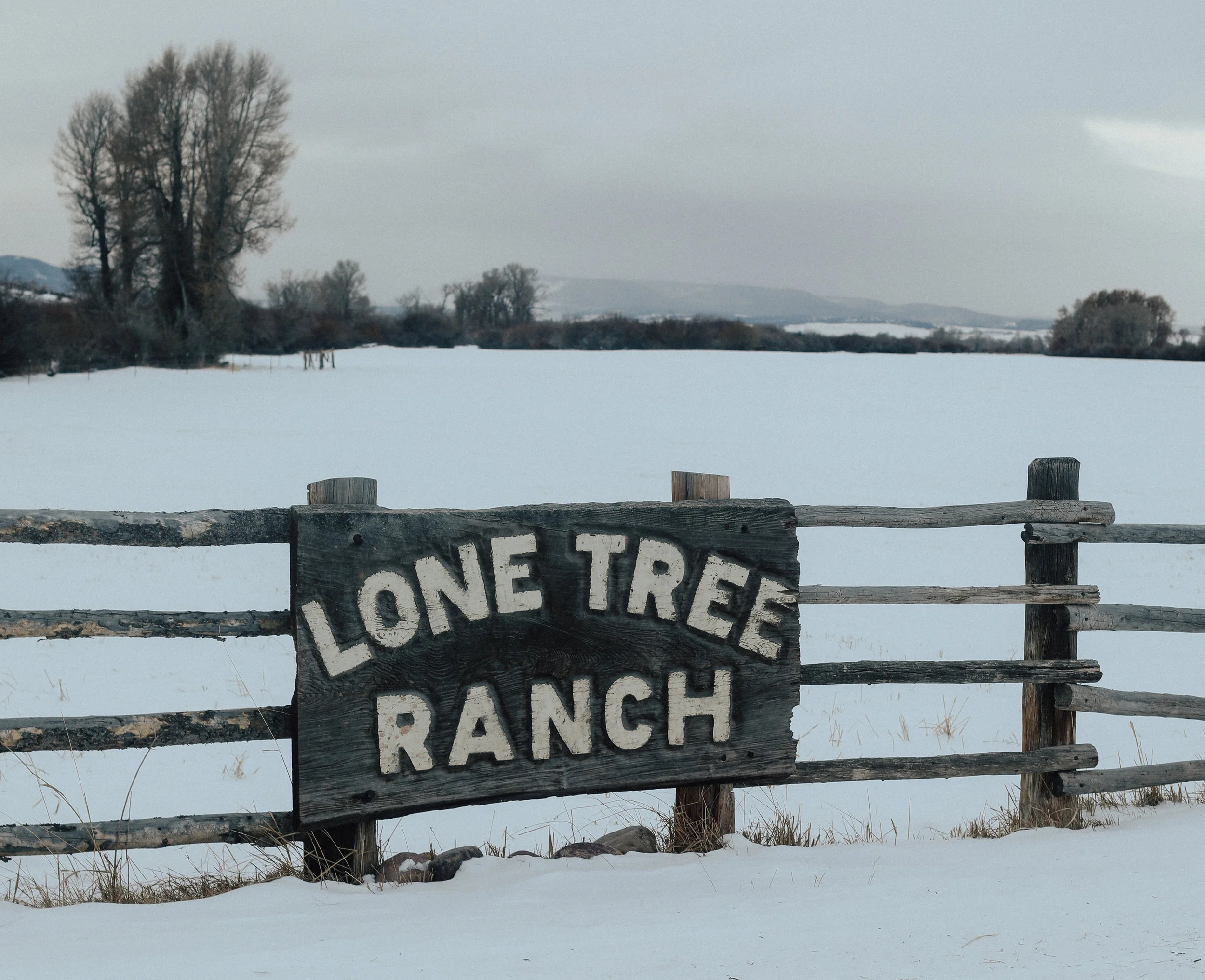 Lonetree Ranch