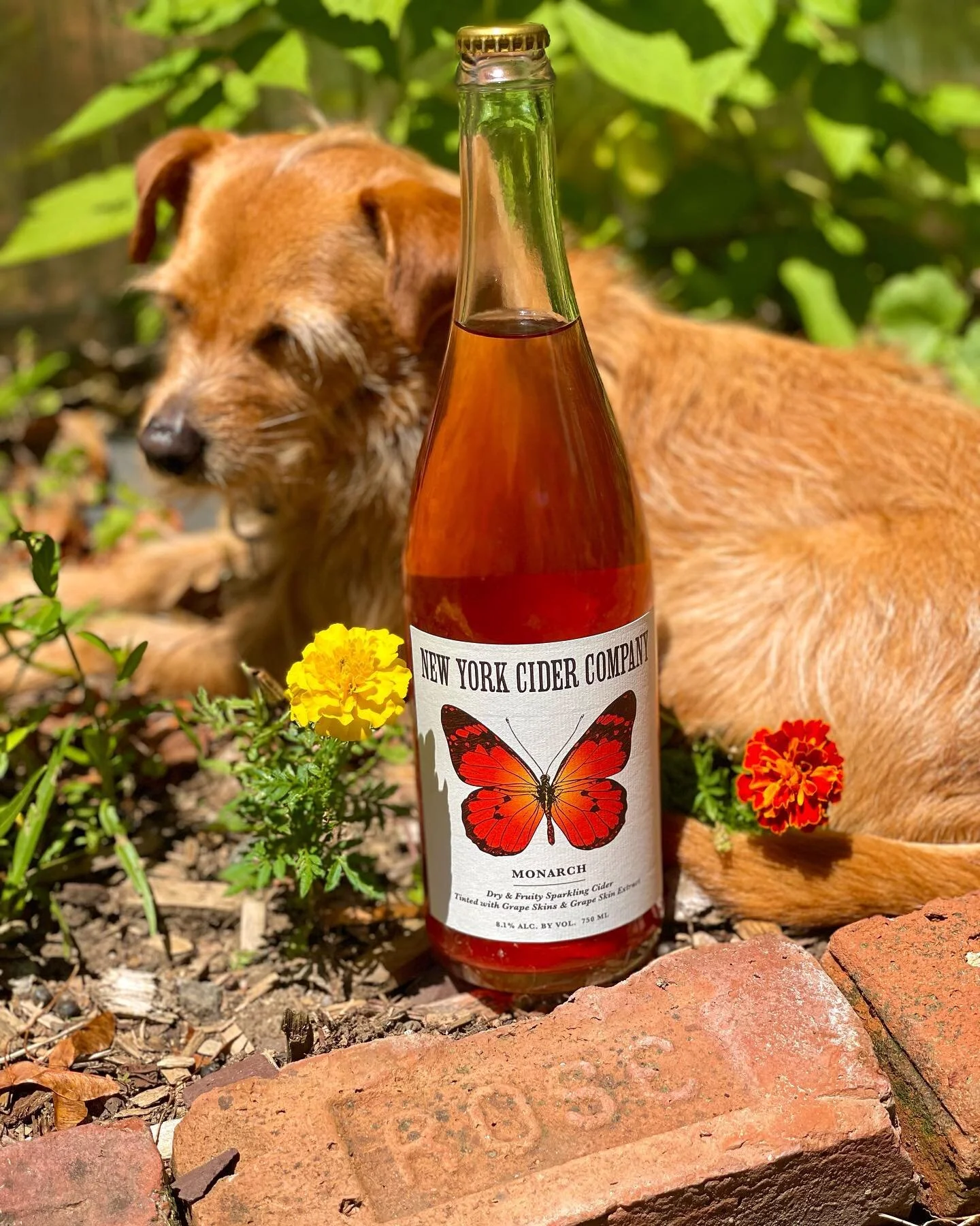 New York Cider Company