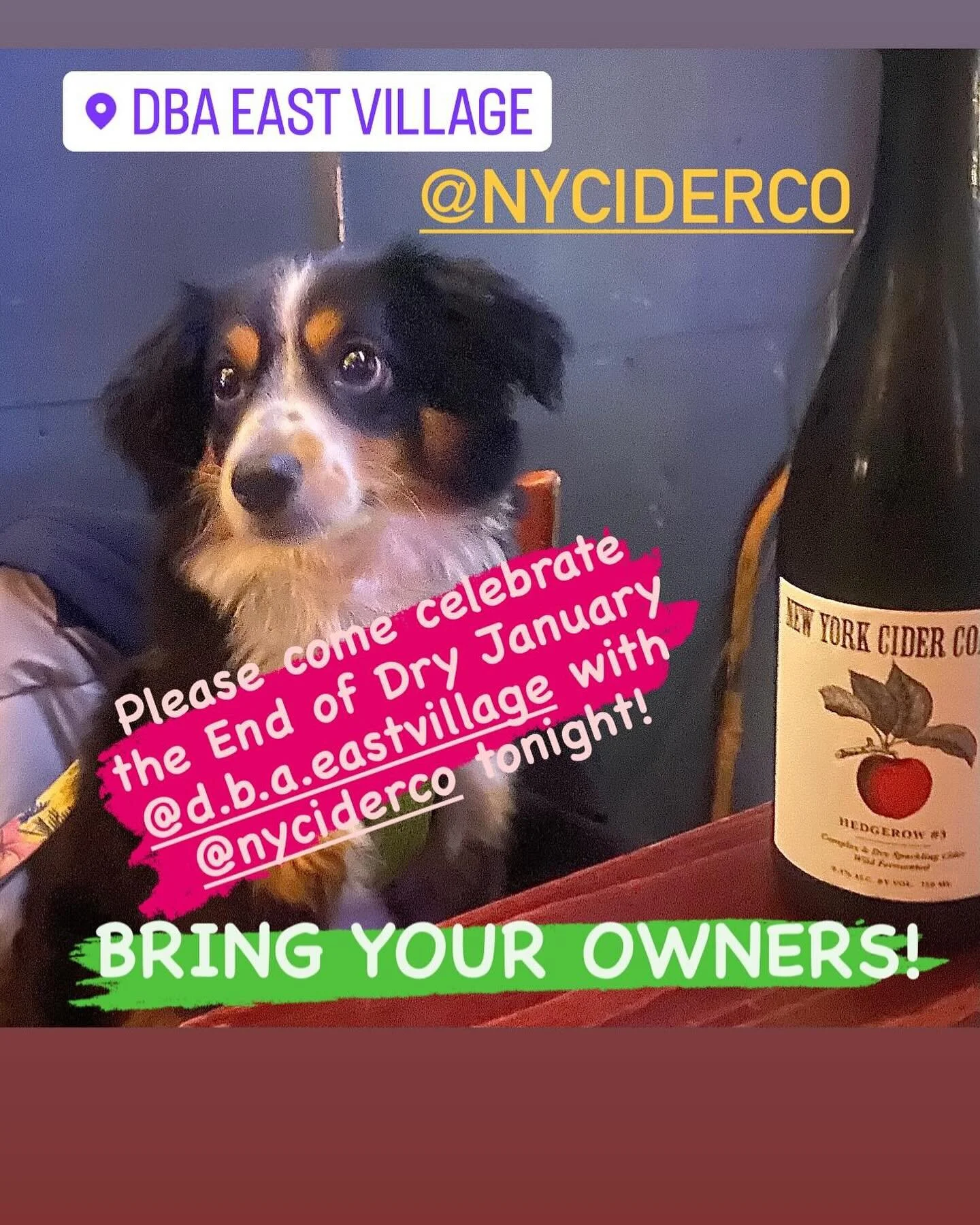 New York Cider Company