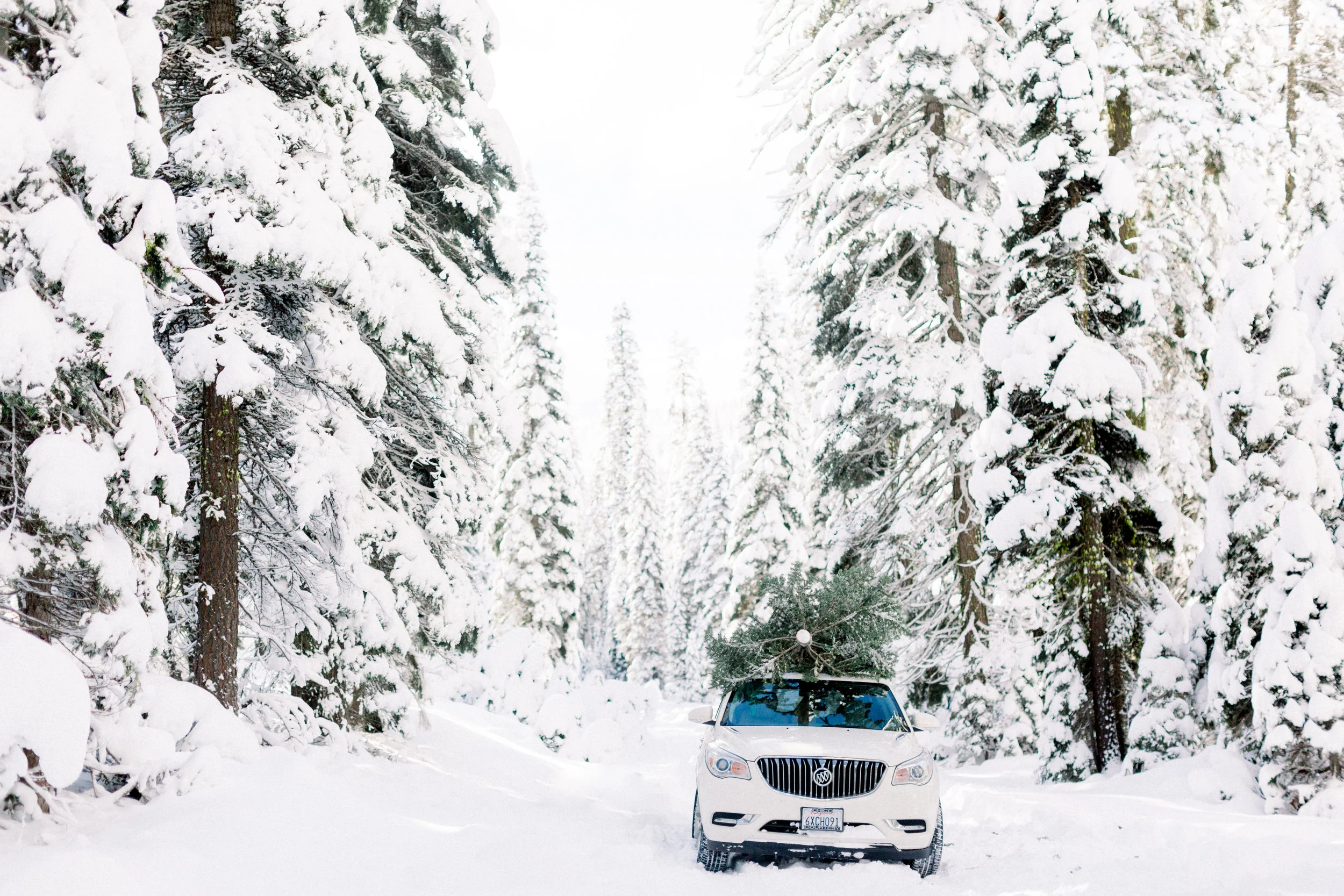 Butte Meadows Christmas Adventure 2018 - Chico Photographer