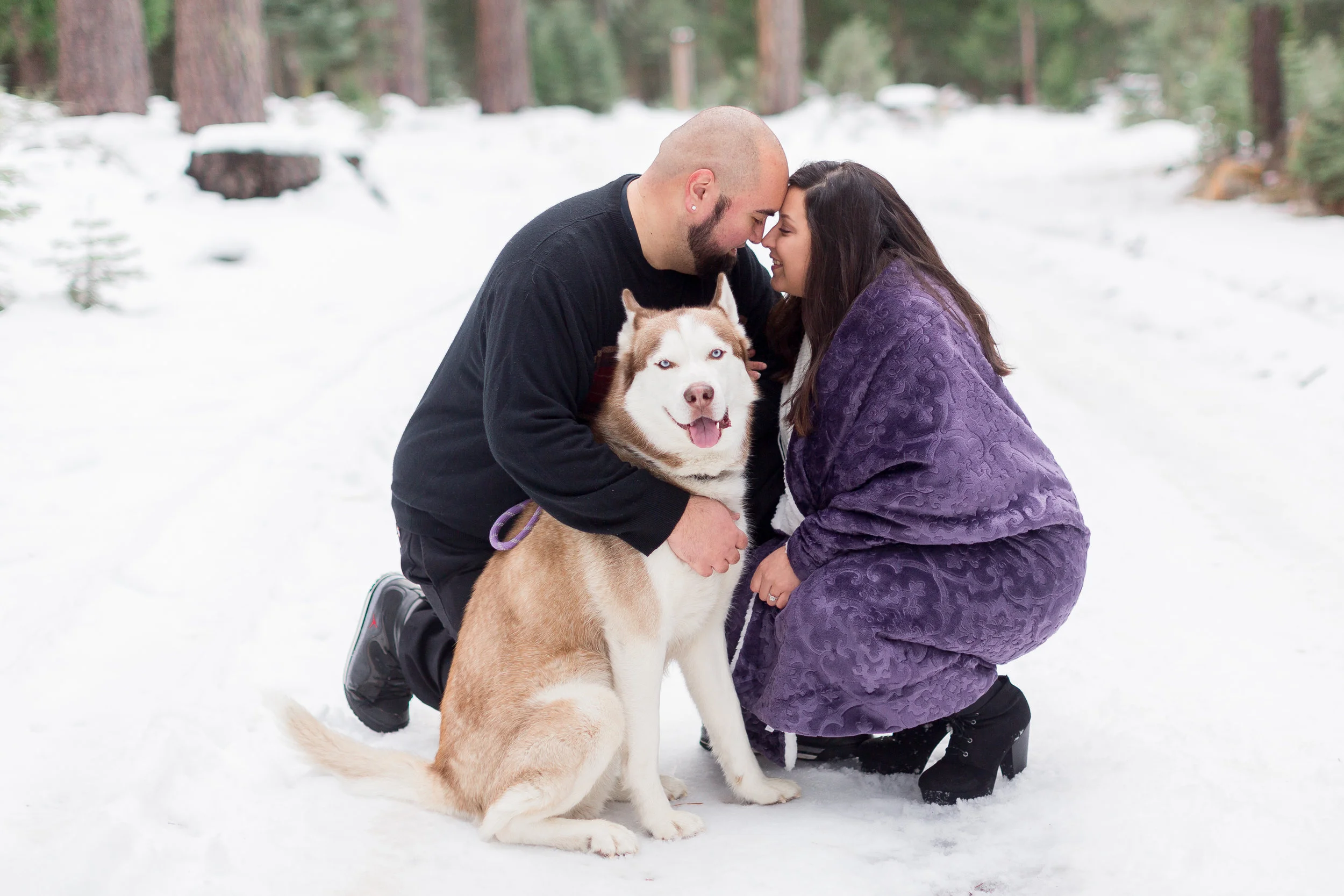 Northern California Mountain Engagement Photos - Chico Photographer ...